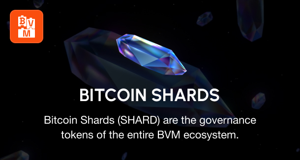 Launch Your Own Zk Rollup On Bitcoin For 99 Month